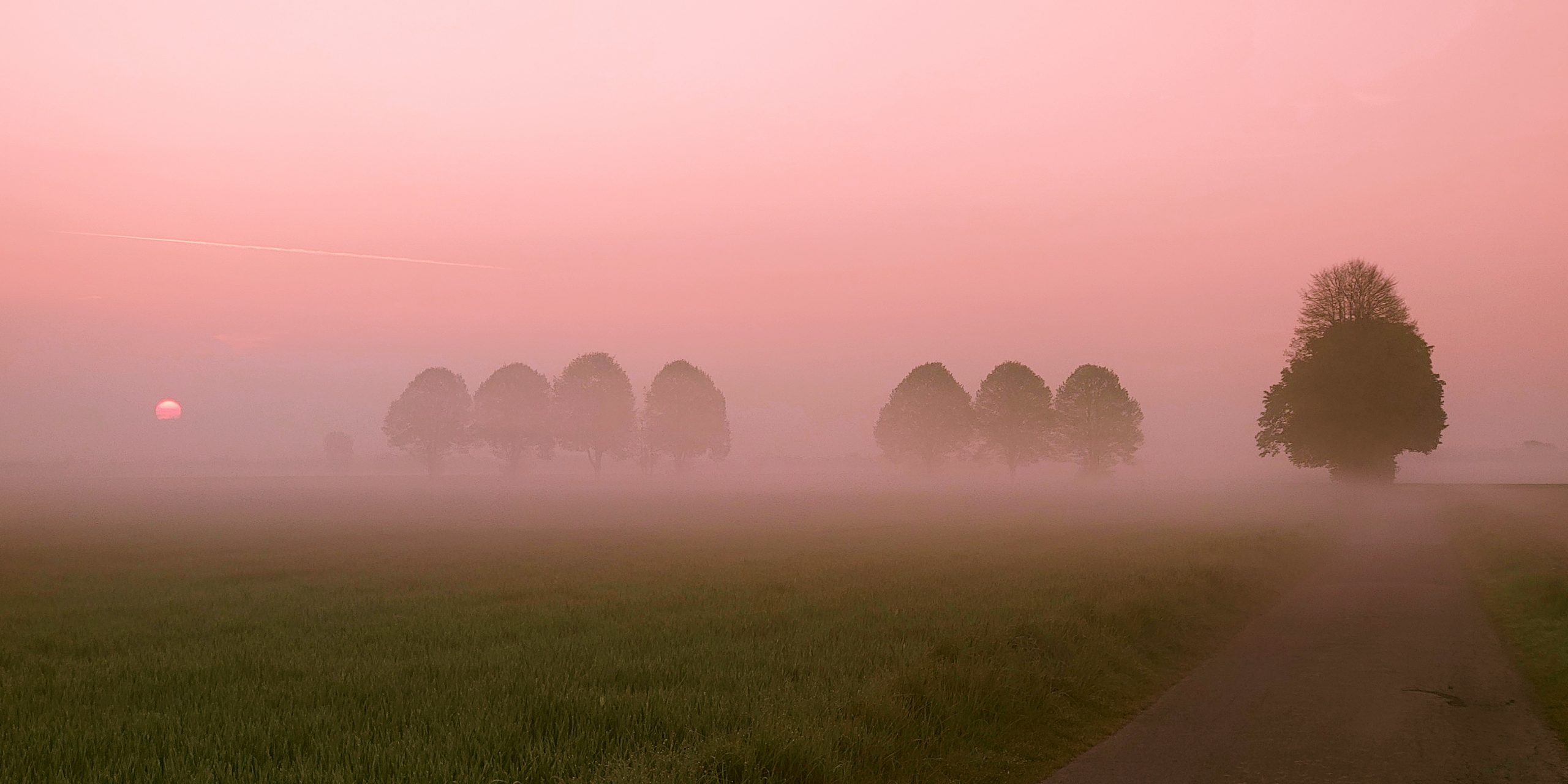 Appreciation - SoberOasis