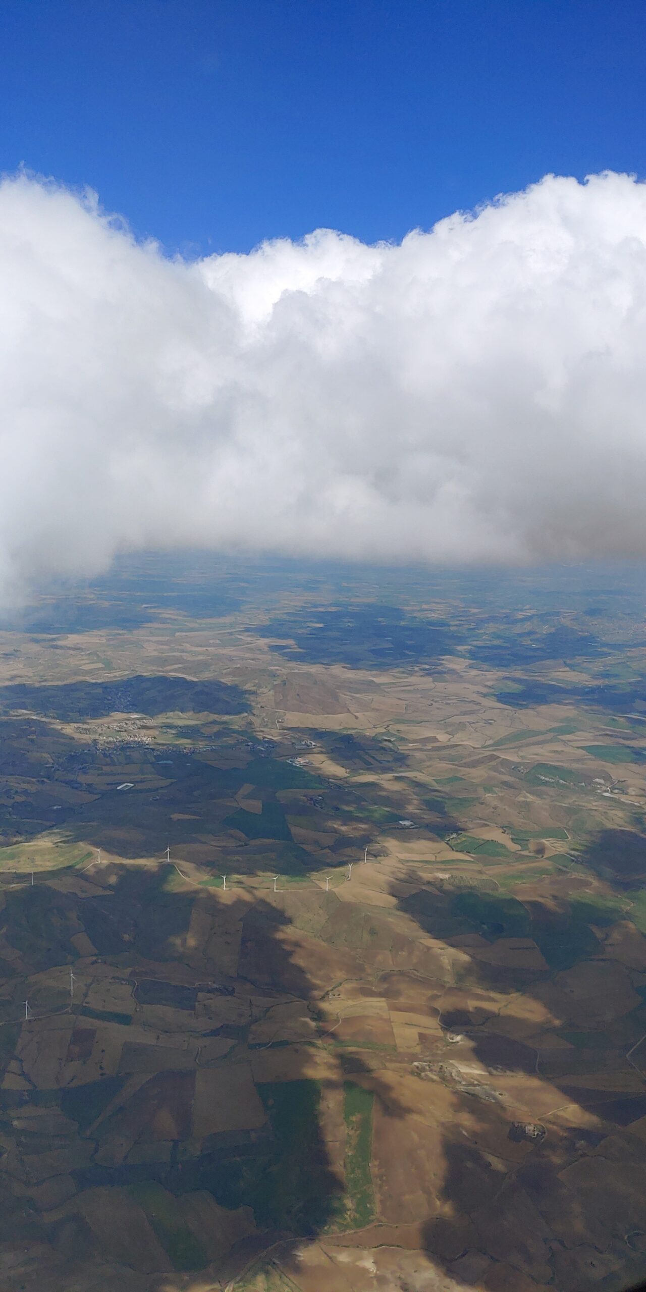 Nostalgia - SoberOasis